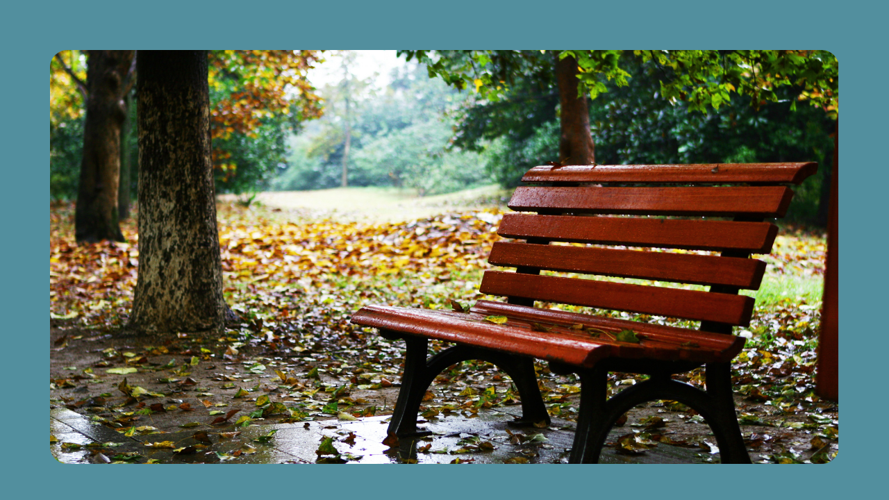 Top Rest Spots in Tokyo: Benches and Parks for Travelers | NANDEMO TOKYO